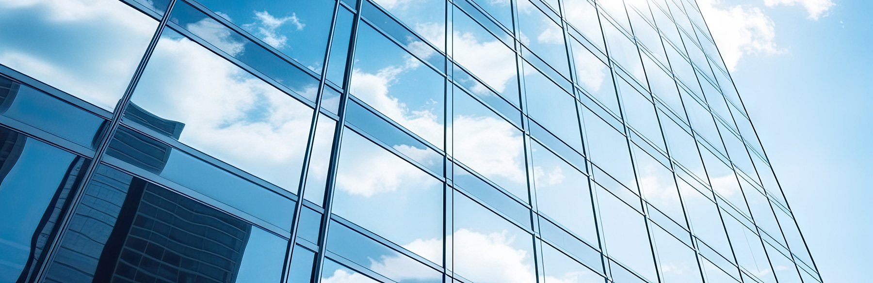 Tempered Laminated Glass - Silverback Glass Processing